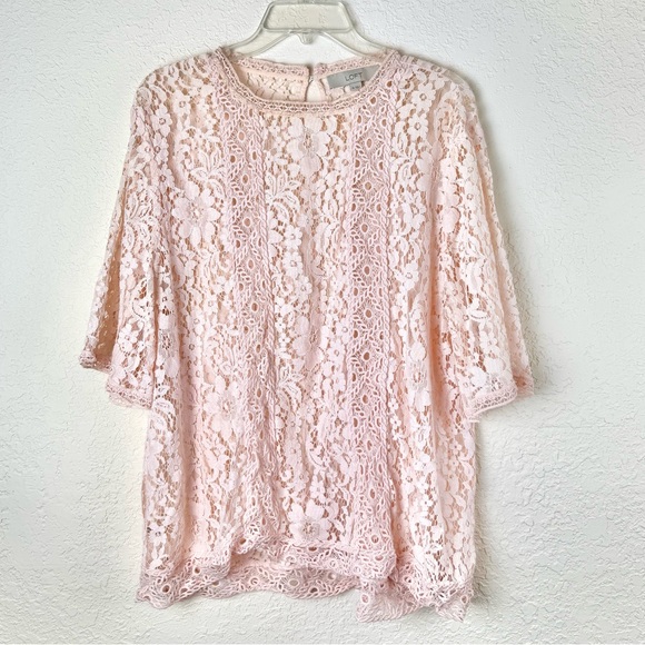 LOFT | Tops | Womens Pastel Pink Lace Blouse Womens Xl Loft | Poshmark